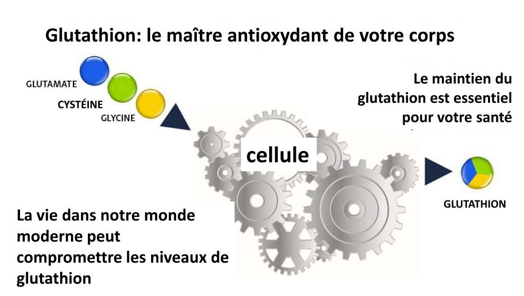 Qu’est-ce que le glutathion? - avotresante.ca